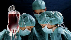 Calendario: Máster Universitario Medicina Transfusional y Terapias ...