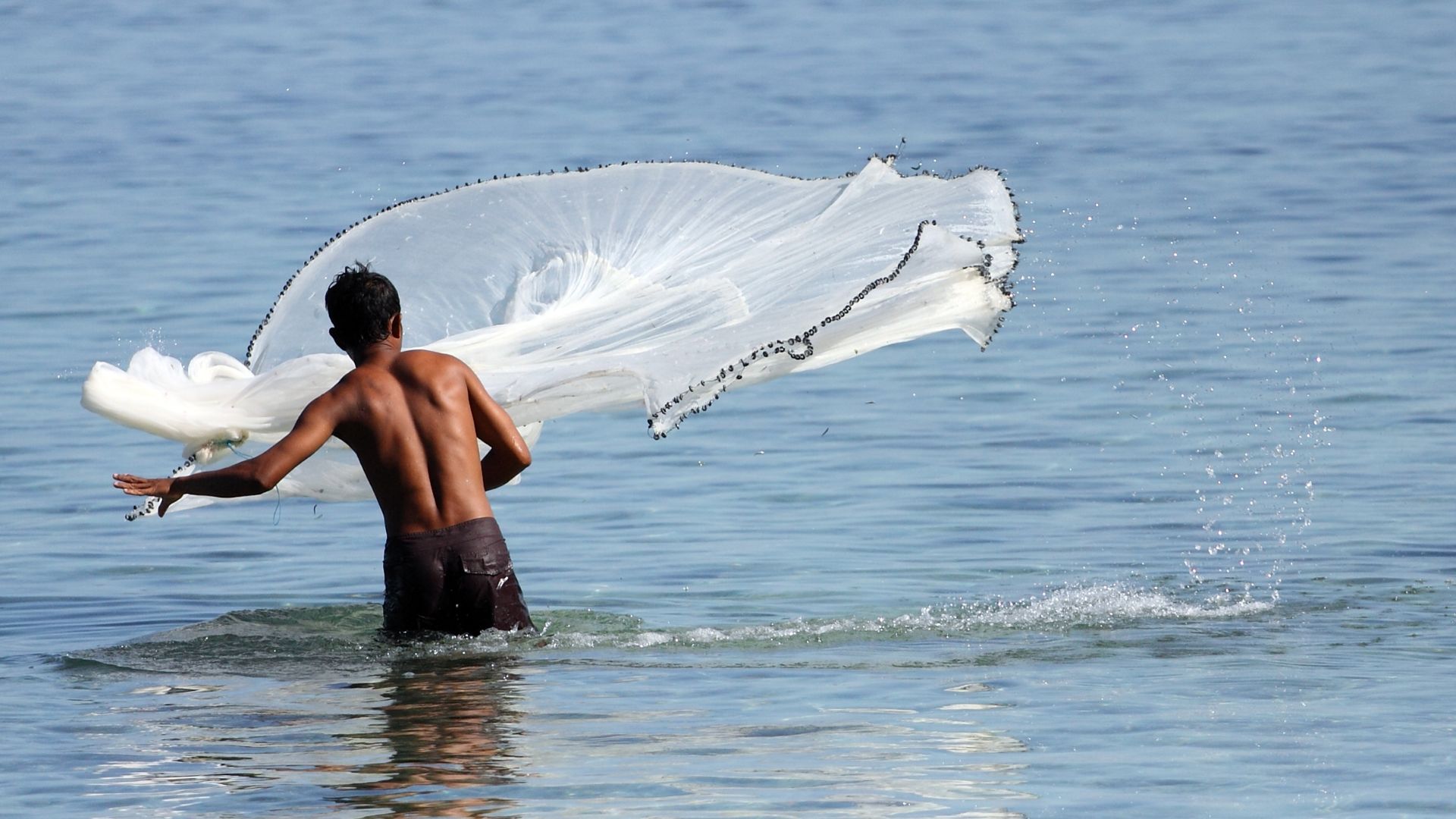Evolution and impacts of early food production systems (EARLY FOOD ...