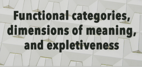 Workshop internacional "Functional categorias, hierarchies of meaning ...