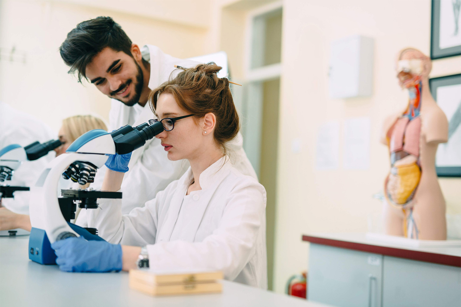 Admission: Bachelor's Degree in Biomedical Sciences - UAB Barcelona