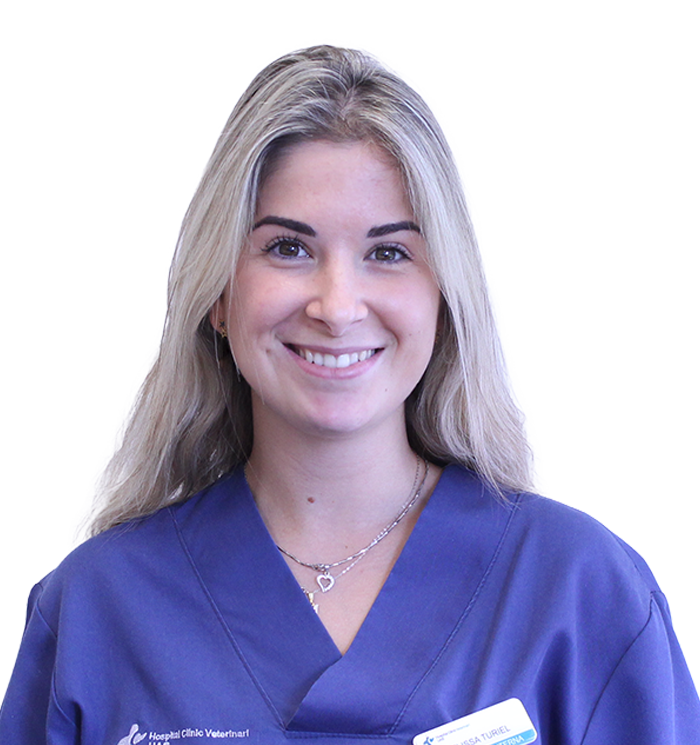 Neurología y neurocirugía - Hospital Clínic Veterinari - UAB Barcelona