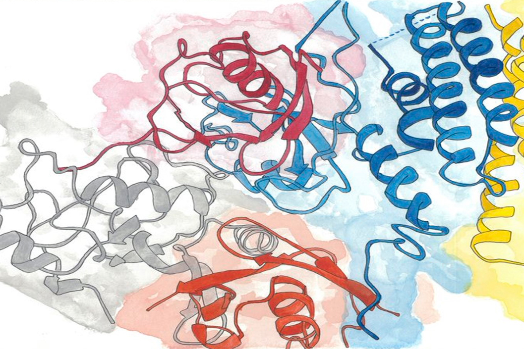 Biochemistry, Molecular Biology and Biomedicine - PhDs - UAB Barcelona