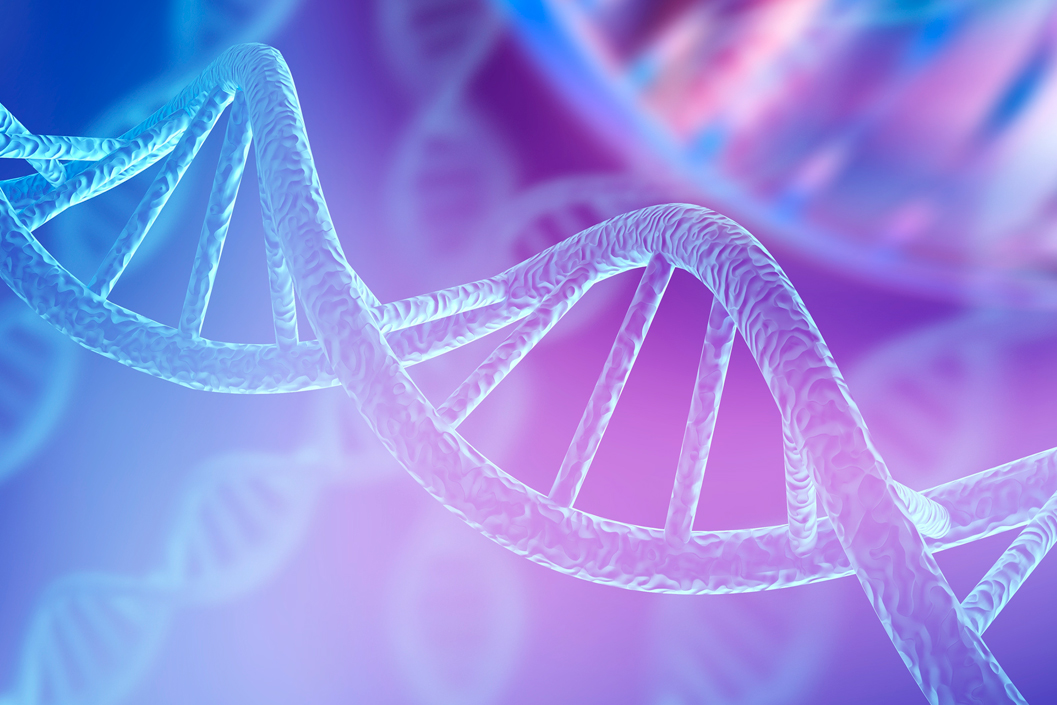 Genetics - PhDs - UAB Barcelona